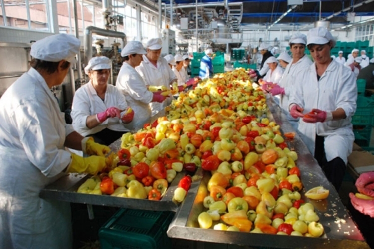 „Sava Semberija“ planira povećanje proizvodnje za 40 odsto | Capital.ba ...